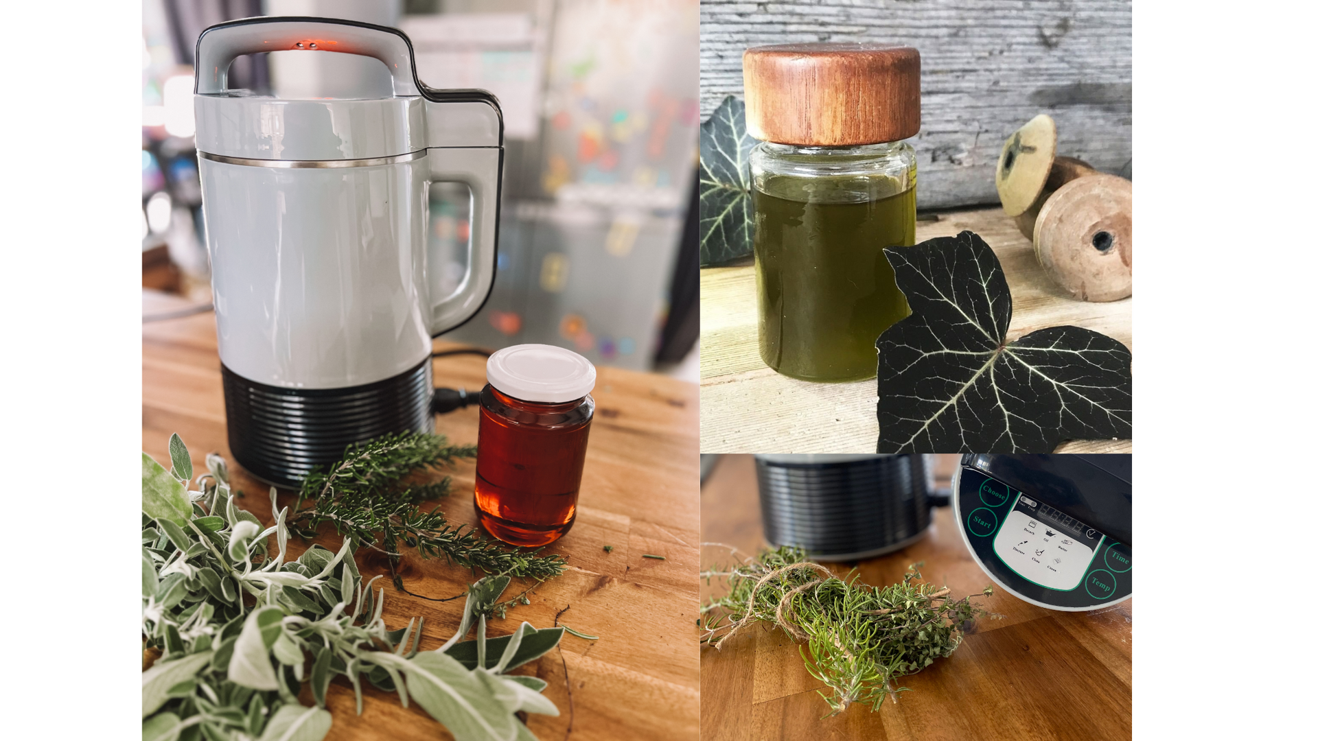 Herbal Oil Infuser - A detailed overview – Froothie Australia